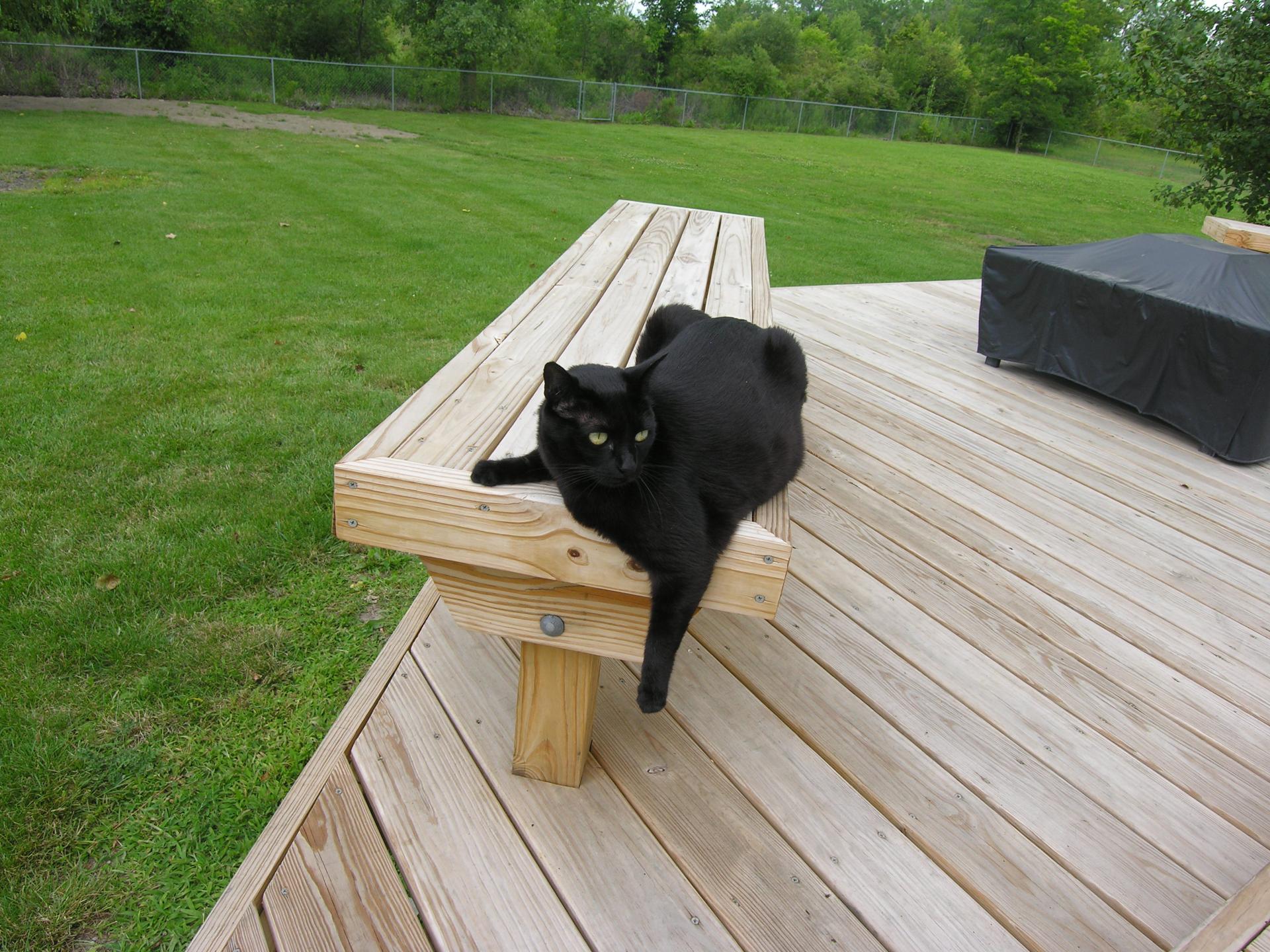 Hydie | Animal Emergency Center