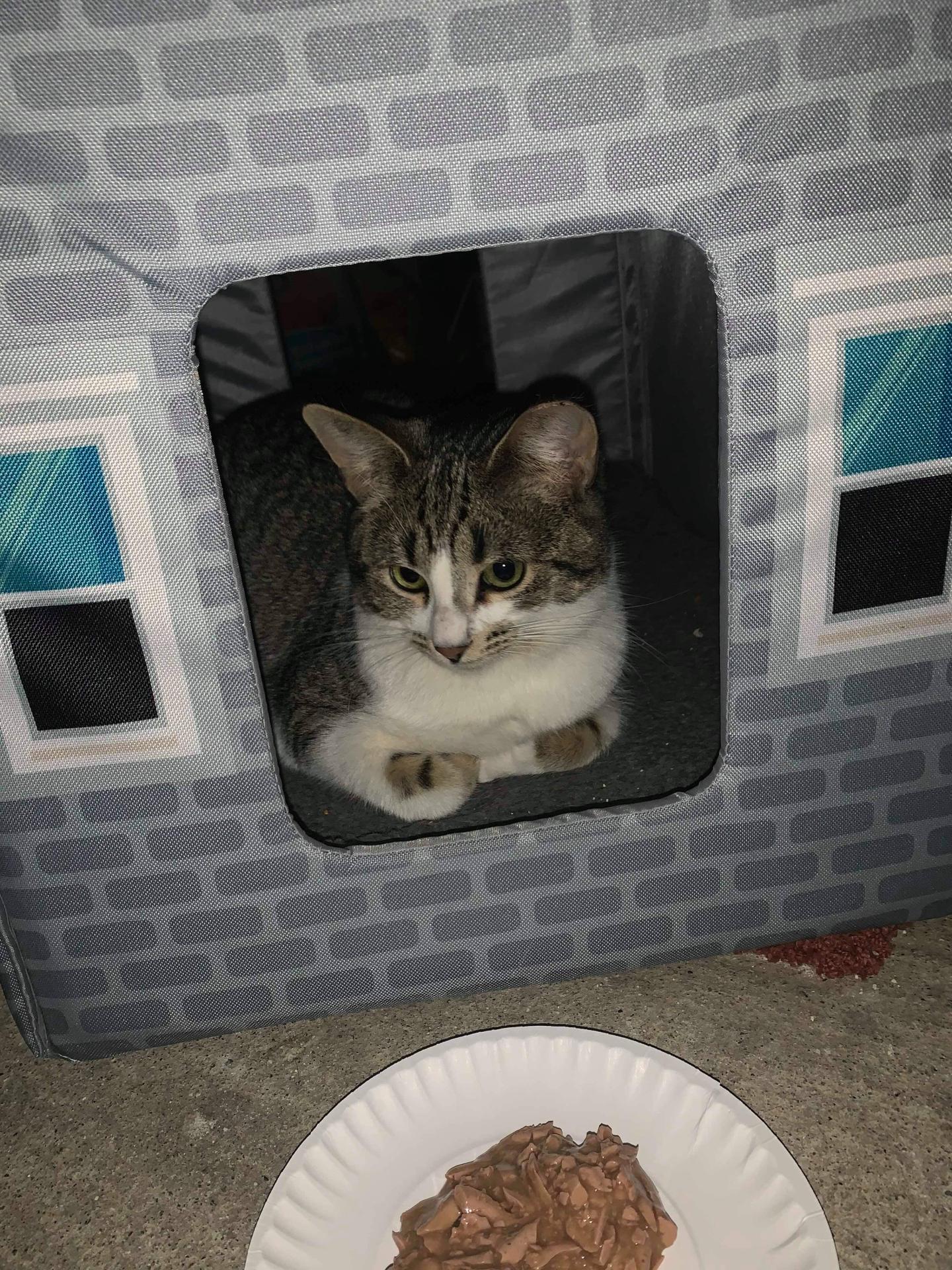 Anna | Animal Emergency Center